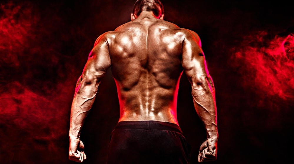 アメリカで人気の「SIZE UP XL」の効果と口コミ調査 | STERON