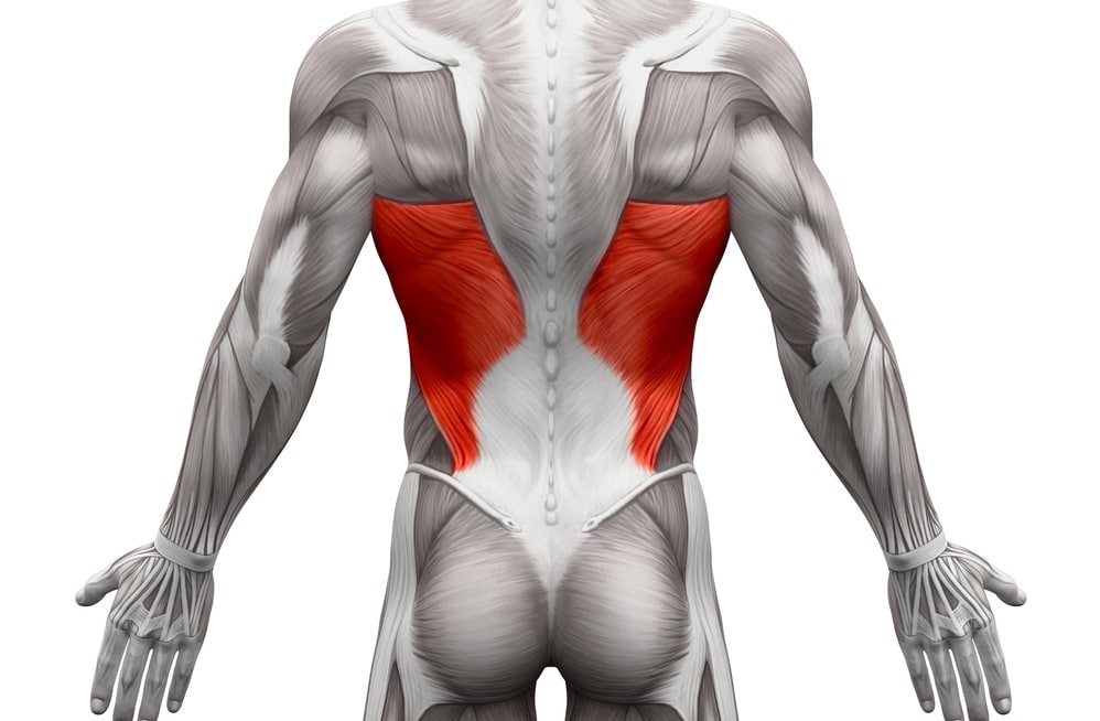 【性科学】3か月で絶倫ペニスを手に入れる16の方法 | STERON